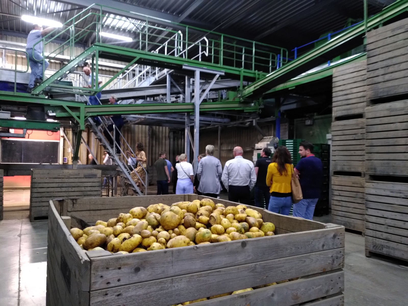 Bij Greydanus draait het al meer dan 90 jaar om de aardappel ...